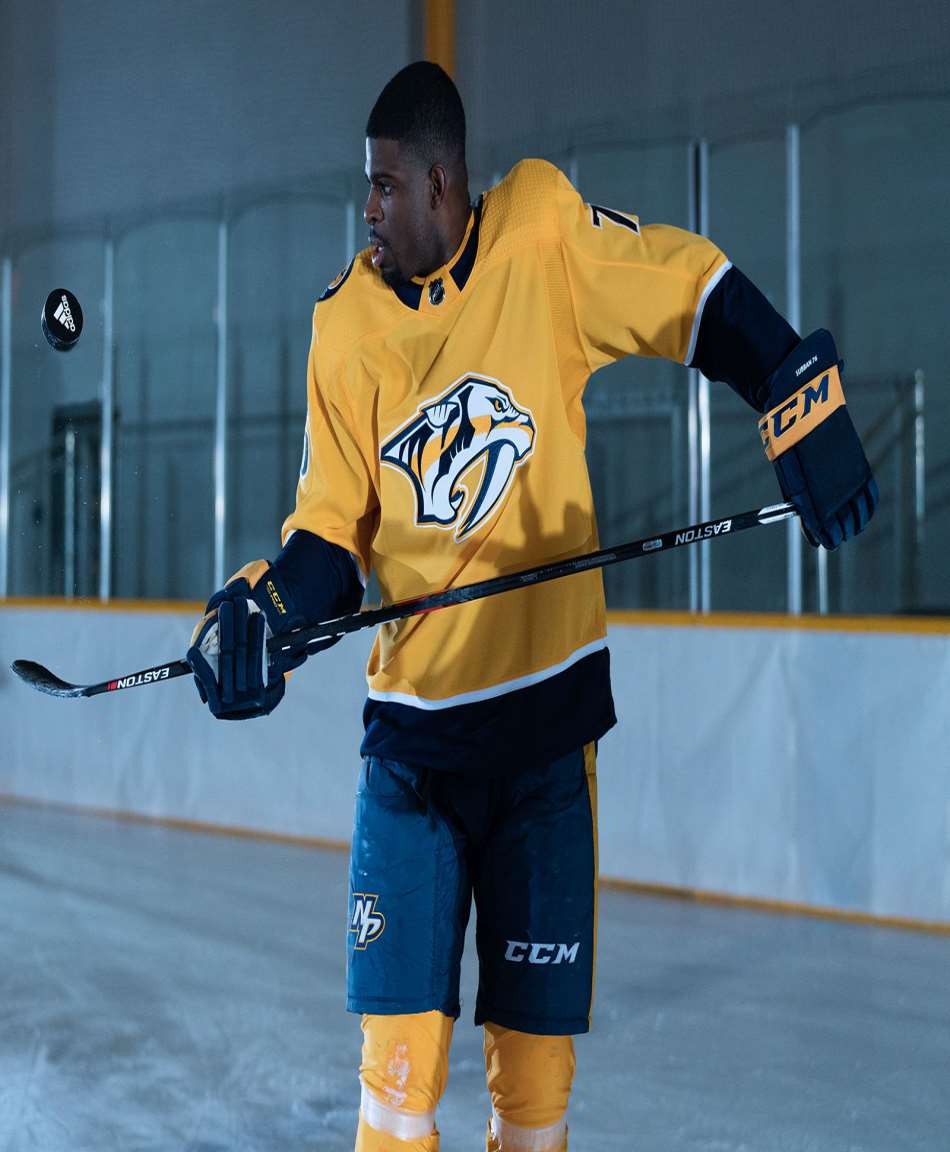 P. K. Subban Birthday, Real Name, Age, Weight, Height, Family, Facts ...