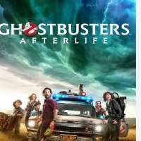 Dusan Rokvic Birthday, Real Name, Age, Weight, Height, Family, Facts ...