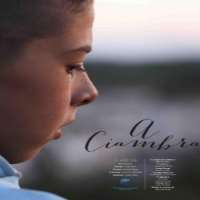 Pio Amato Birthday, Real Name, Age, Weight, Height, Family, Facts ...