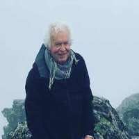 Patrick J. Adams Birthday, Real Name, Age, Weight, Height, Family ...