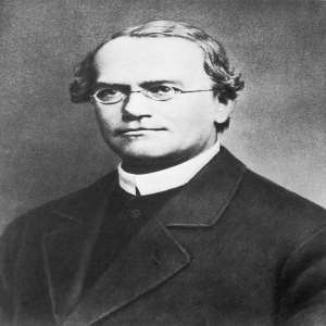 Gregor Mendel Birthday, Real Name, Age, Weight, Height, Family, Facts ...