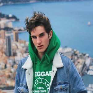 Jake Angeles Birthday, Real Name, Age, Weight, Height, Family, Facts ...