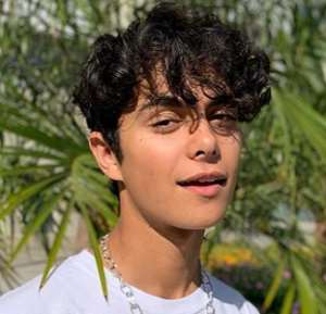 Ben De Almeida Birthday, Real Name, Age, Weight, Height, Family, Facts ...