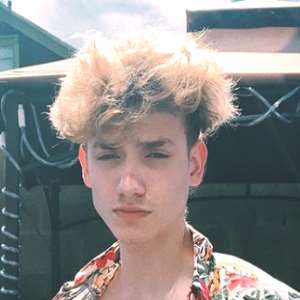 Bruce Wilde Birthday, Real Name, Age, Weight, Height, Family, Facts ...