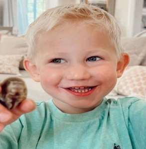 Ledger Nelson Birthday, Real Name, Age, Weight, Height, Family, Facts ...