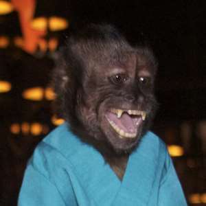 Crystal the Monkey Birthday, Real Name, Age, Weight, Height, Family ...