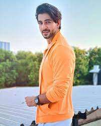 Sahil Phull Birthday, Real Name, Age, Weight, Height, Family, Facts ...