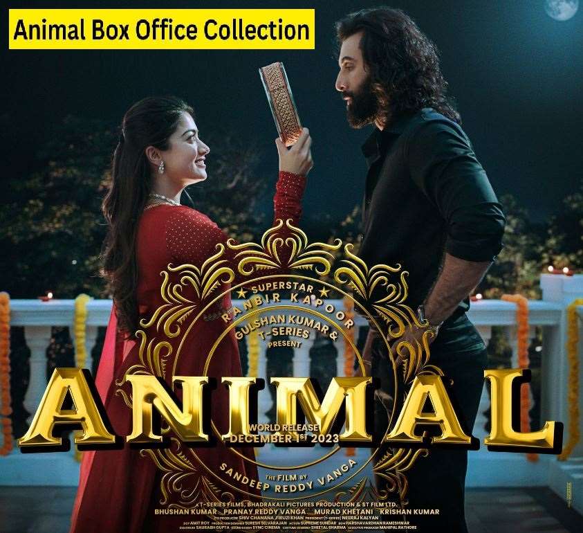Animal Box Office Collection Ranbir Kapoor s Blockbuster Film Leaps