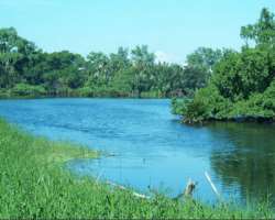 Muara Angke Nature Reserve History, Travel Information, Hotels, Fare ...