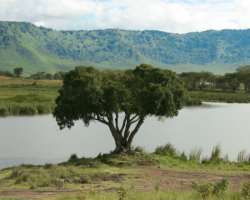 Ngorongoro Conservation Area History, Travel Information, Facts And ...