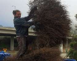 Aaron Musicant Birthday, Real Name, Age, Weight, Height, Family, Facts ...