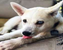 Abby Ritter Birthday, Real Name, Age, Weight, Height, Family, Facts ...