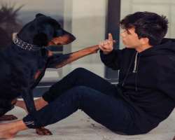 Alvaro Antoli Birthday, Real Name, Age, Weight, Height, Family, Facts ...