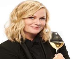 Amy Poehler Birthday, Real Name, Age, Weight, Height, Family, Facts ...