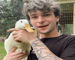 Austin Felt Birthday, Real Name, Age, Weight, Height, Family, Facts ...