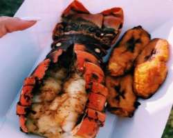 Azalea Hart Birthday, Real Name, Age, Weight, Height, Family, Facts ...