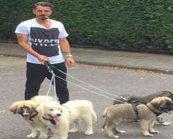 Blerim Destani Birthday, Real Name, Age, Weight, Height, Family, Facts ...