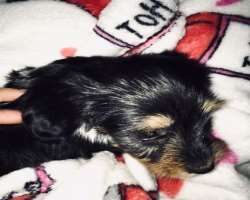 Brailee Butler Birthday, Real Name, Age, Weight, Height, Family, Facts ...