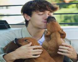 Bryce Hall Birthday, Real Name, Age, Weight, Height, Family, Facts ...