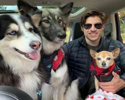 Cameron Cuffe Birthday, Real Name, Age, Weight, Height, Family, Facts ...