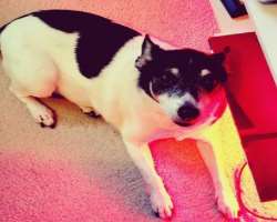 Captain Tate Birthday, Real Name, Age, Weight, Height, Family, Facts ...