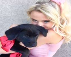 Chani Natasha Davis Birthday, Real Name, Age, Weight, Height, Family ...