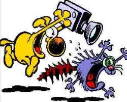 Charlie Brill Birthday, Real Name, Age, Weight, Height, Family, Facts ...