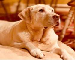 Christopher Cocke Birthday, Real Name, Age, Weight, Height, Family ...