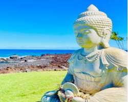 Christopher Cocke Birthday, Real Name, Age, Weight, Height, Family ...