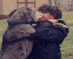 Cohen Muse Birthday, Real Name, Age, Weight, Height, Family, Facts ...