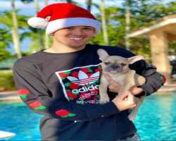 ColetheMan TW Birthday, Real Name, Age, Weight, Height, Family, Facts ...