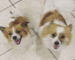 Cong TV Birthday, Real Name, Age, Weight, Height, Family, Facts ...