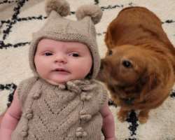 Dani Austin Birthday, Real Name, Age, Weight, Height, Family, Facts ...