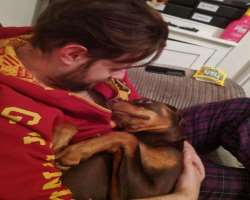 Daniel J Layton Birthday, Real Name, Age, Weight, Height, Family, Facts ...