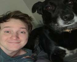 Daniel Sulzbach Birthday, Real Name, Age, Weight, Height, Family, Facts ...