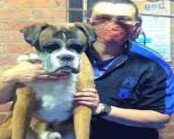 David Wright Birthday, Real Name, Age, Weight, Height, Family, Facts ...