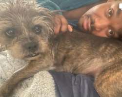 Dexter Darden Birthday, Real Name, Age, Weight, Height, Family, Facts ...