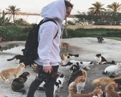 Edvinas Navickas Birthday, Real Name, Age, Weight, Height, Family ...