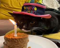 Emily Coates Birthday, Real Name, Age, Weight, Height, Family, Facts ...