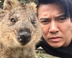 Gaku Space Birthday, Real Name, Age, Weight, Height, Family, Facts ...