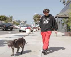 George Purdy (Instagram Star) Birthday, Real Name, Age, Weight, Height ...