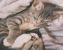 Hannah Maute Birthday, Real Name, Age, Weight, Height, Family, Facts ...