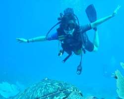 Helen Li Birthday, Real Name, Age, Weight, Height, Family, Facts ...