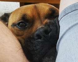 James Caddick Birthday, Real Name, Age, Weight, Height, Family, Facts ...