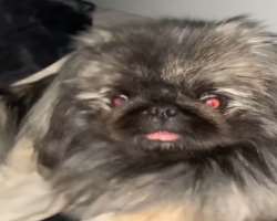 Jamie Stone (Instagram Star) Birthday, Real Name, Age, Weight, Height ...