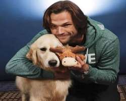 Jared Padalecki Birthday, Real Name, Age, Weight, Height, Family, Facts ...