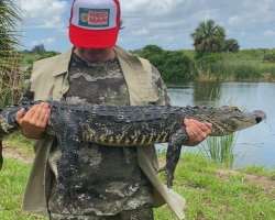 Jesse Sebastiani Birthday, Real Name, Age, Weight, Height, Family ...