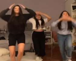 Johanis Sani Birthday, Real Name, Age, Weight, Height, Family, Facts ...