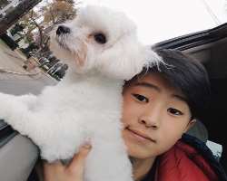 Justin Han Birthday, Real Name, Age, Weight, Height, Family, Facts ...