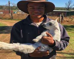 Kamil Ellis Birthday, Real Name, Age, Weight, Height, Family, Facts ...